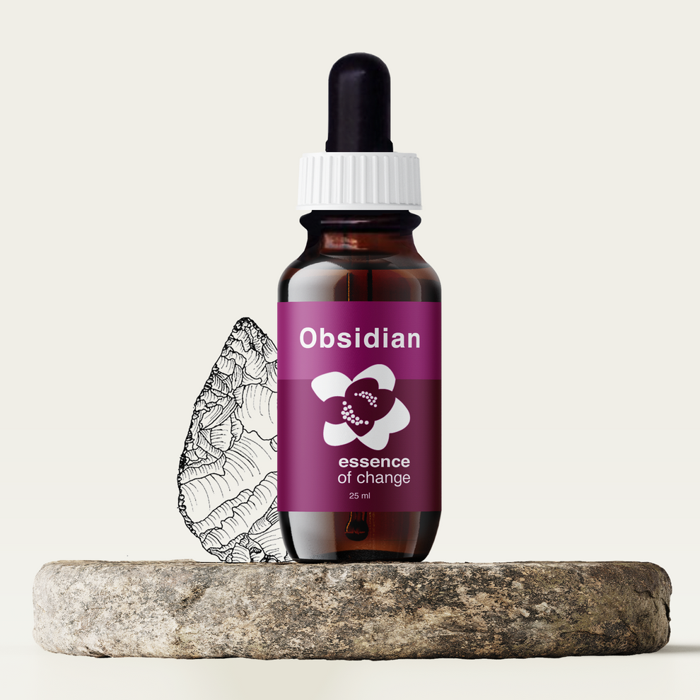 Obsidian Gem Essence - Repair – Essence Of Change